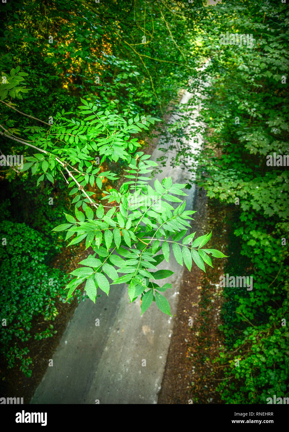 View from a bridge crossing over a rarely used countryside road Stock ...