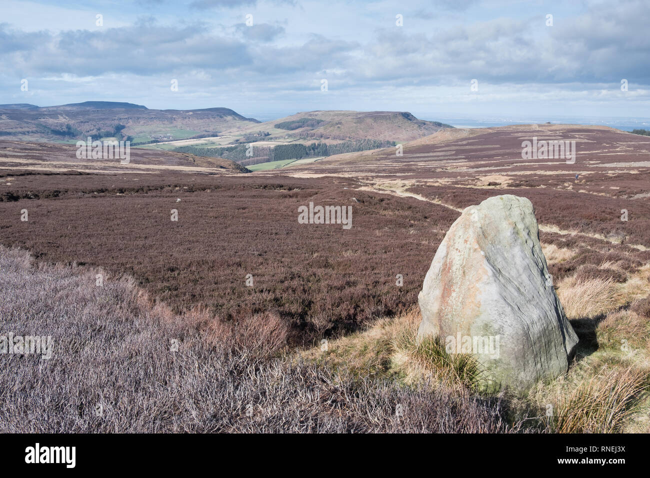Clay bank north york uk hi-res stock photography and images - Alamy