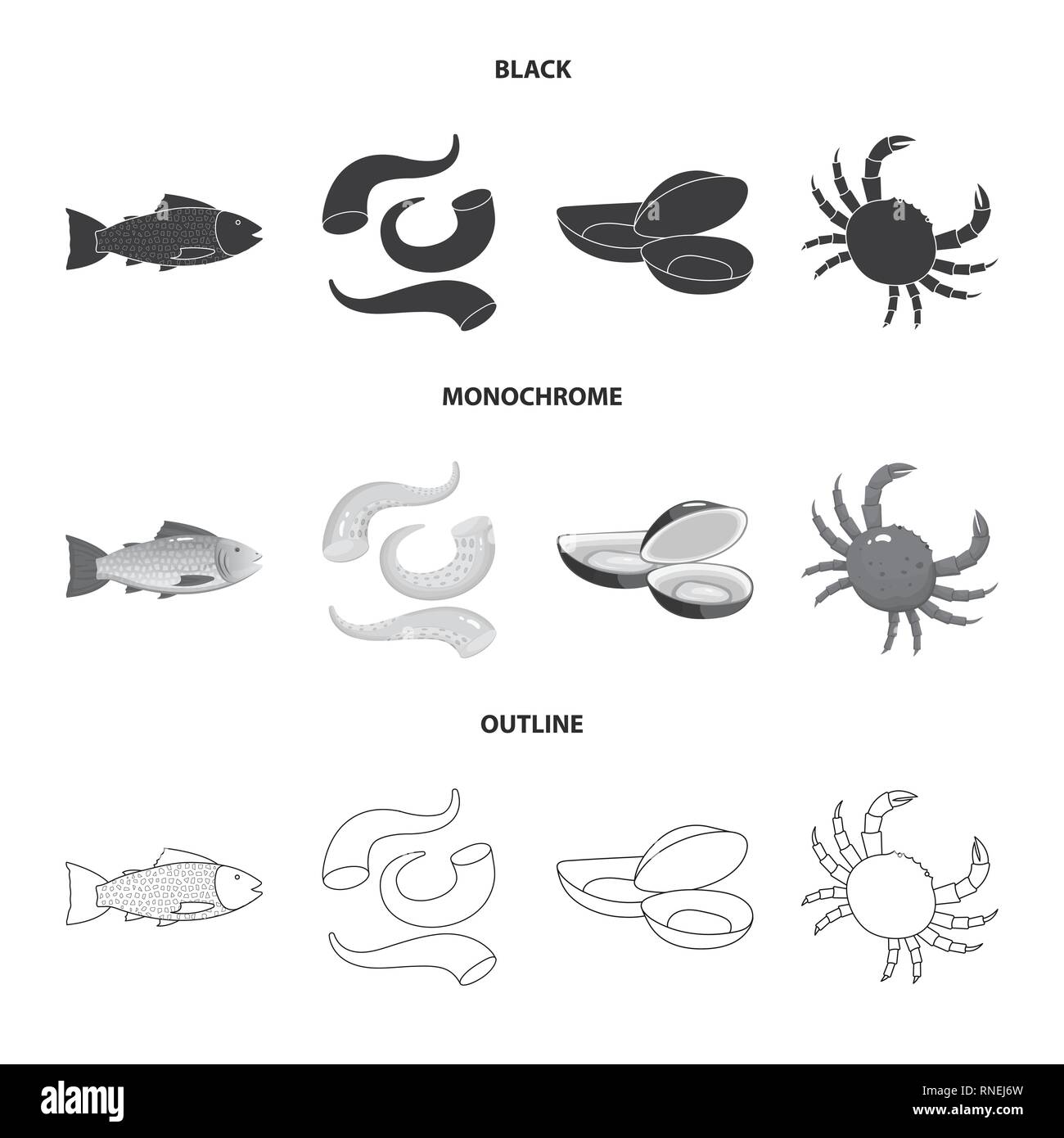 salmon,octopus,mussel,crab,fish,squid,jelly,shell,trout,tentacle ...