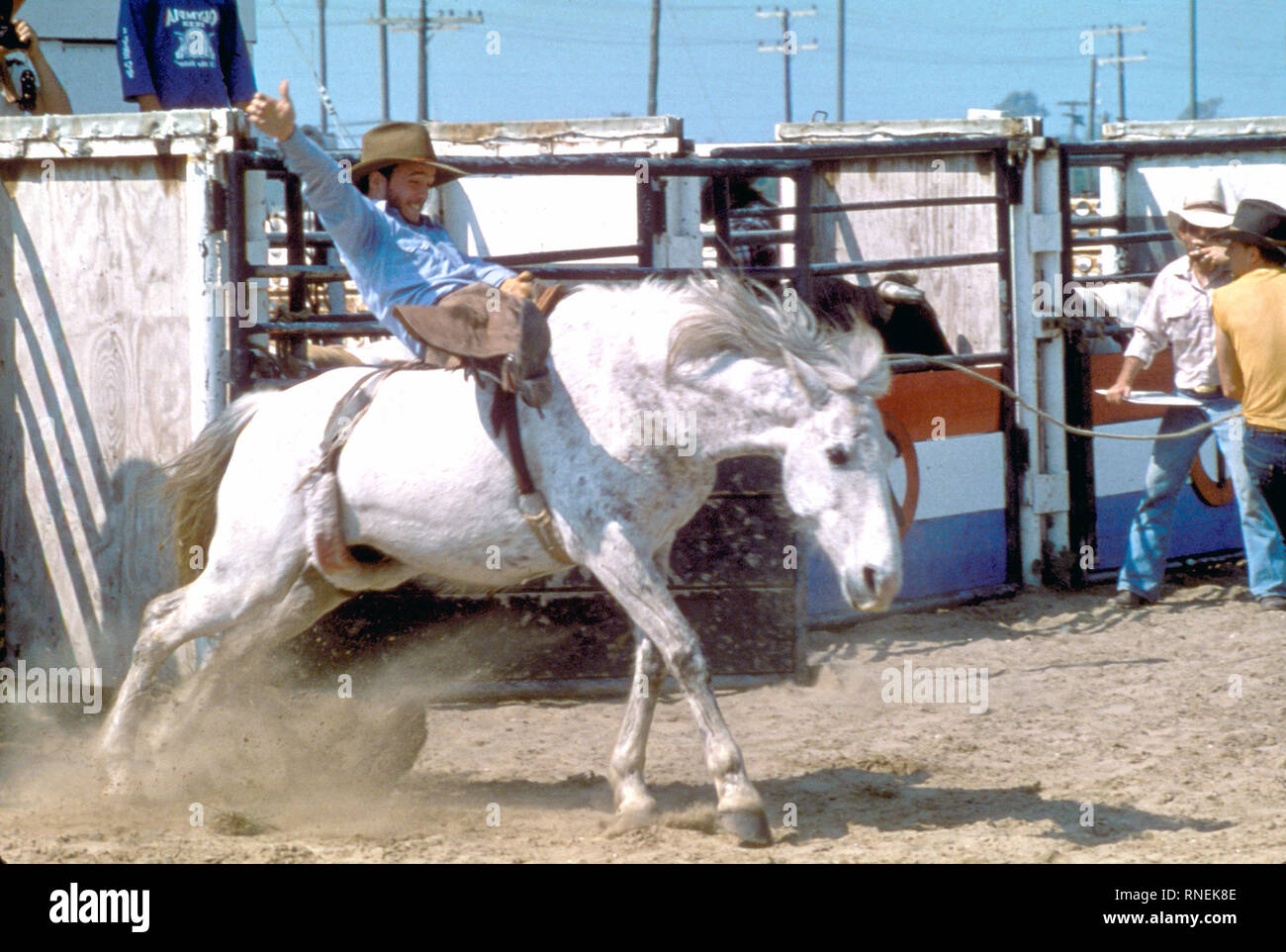 1981 - A horse and his rider compete in an American-style rodeo during ...