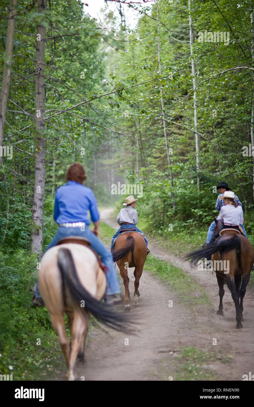 Family trail ride forest trees hi-res stock photography and images - Alamy