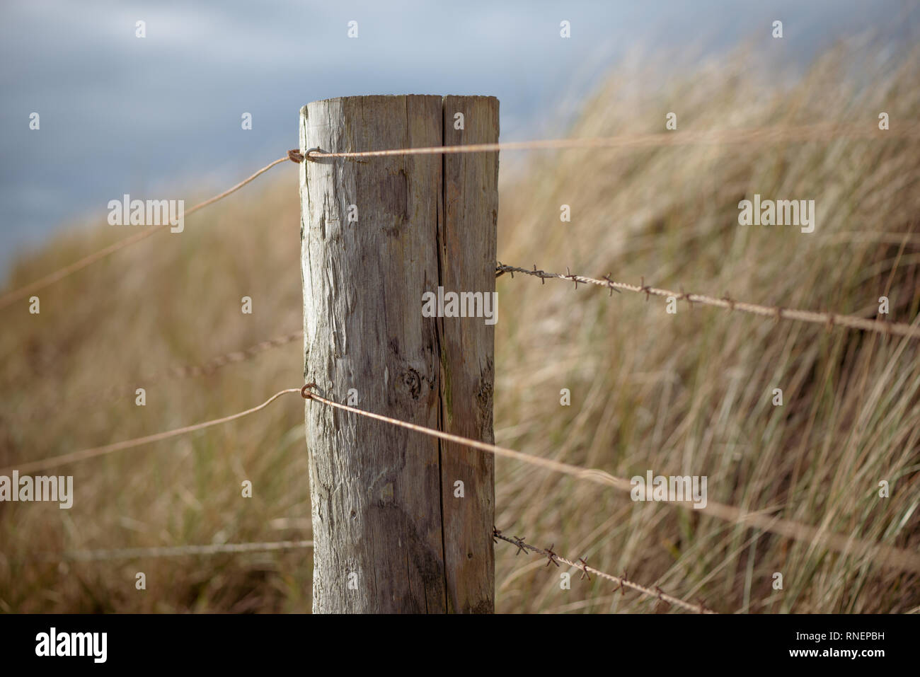 Beach boundary fence hi-res stock photography and images - Alamy