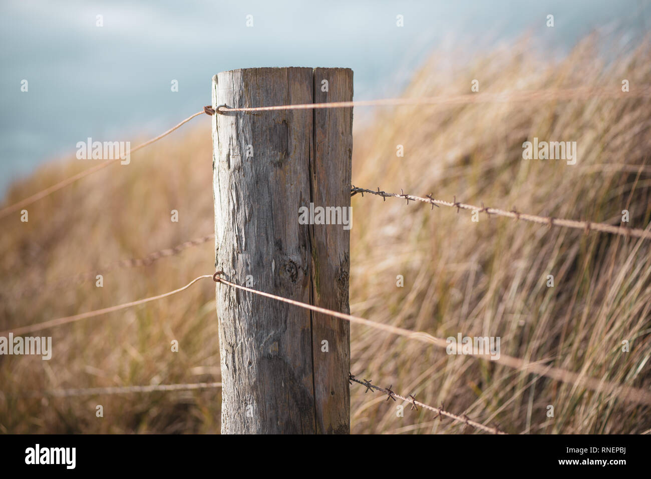 A wooden post with wire connected to it against grasses on a beach ...