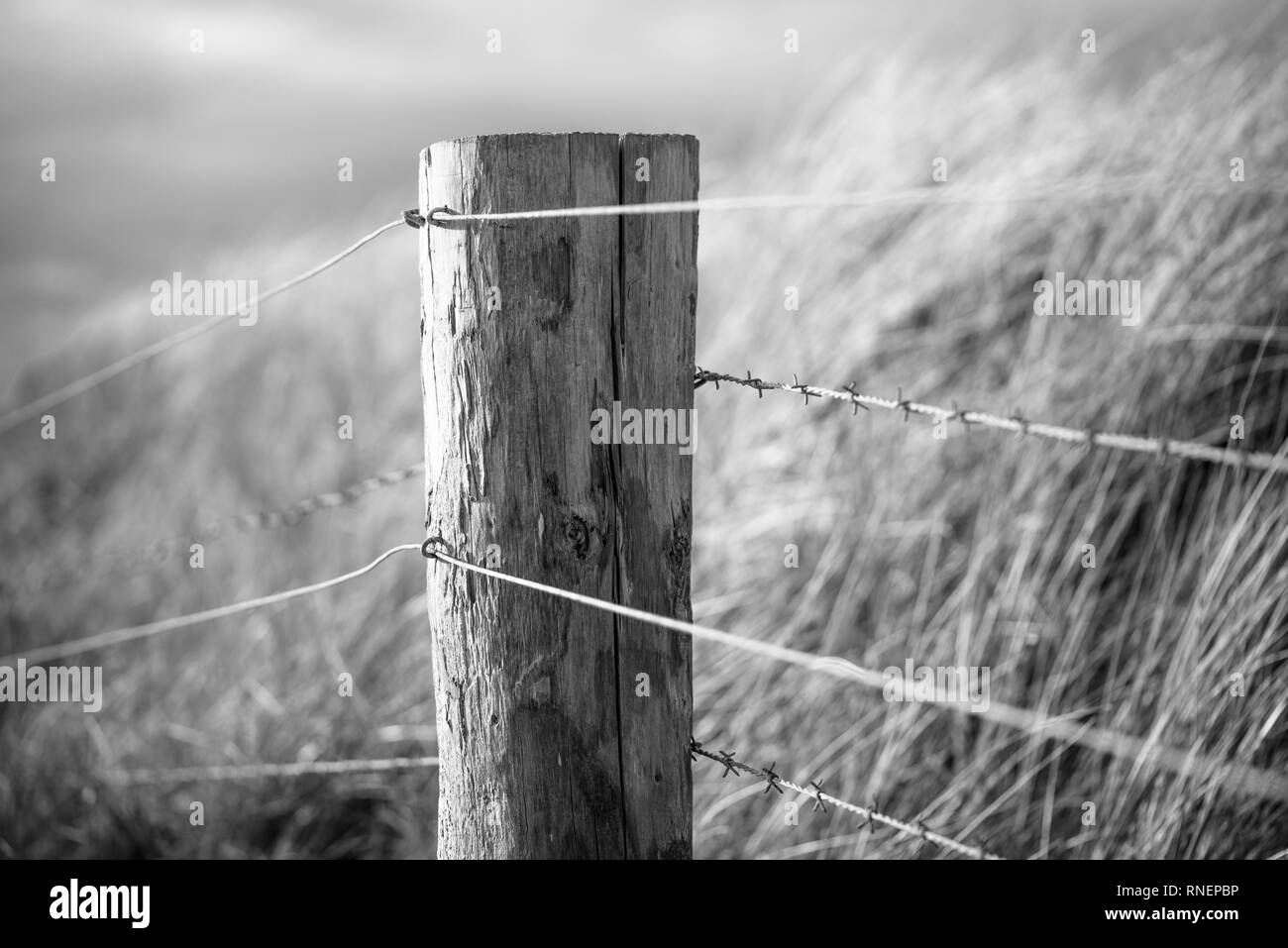 A wooden post with wire connected to it against grasses on a beach ...