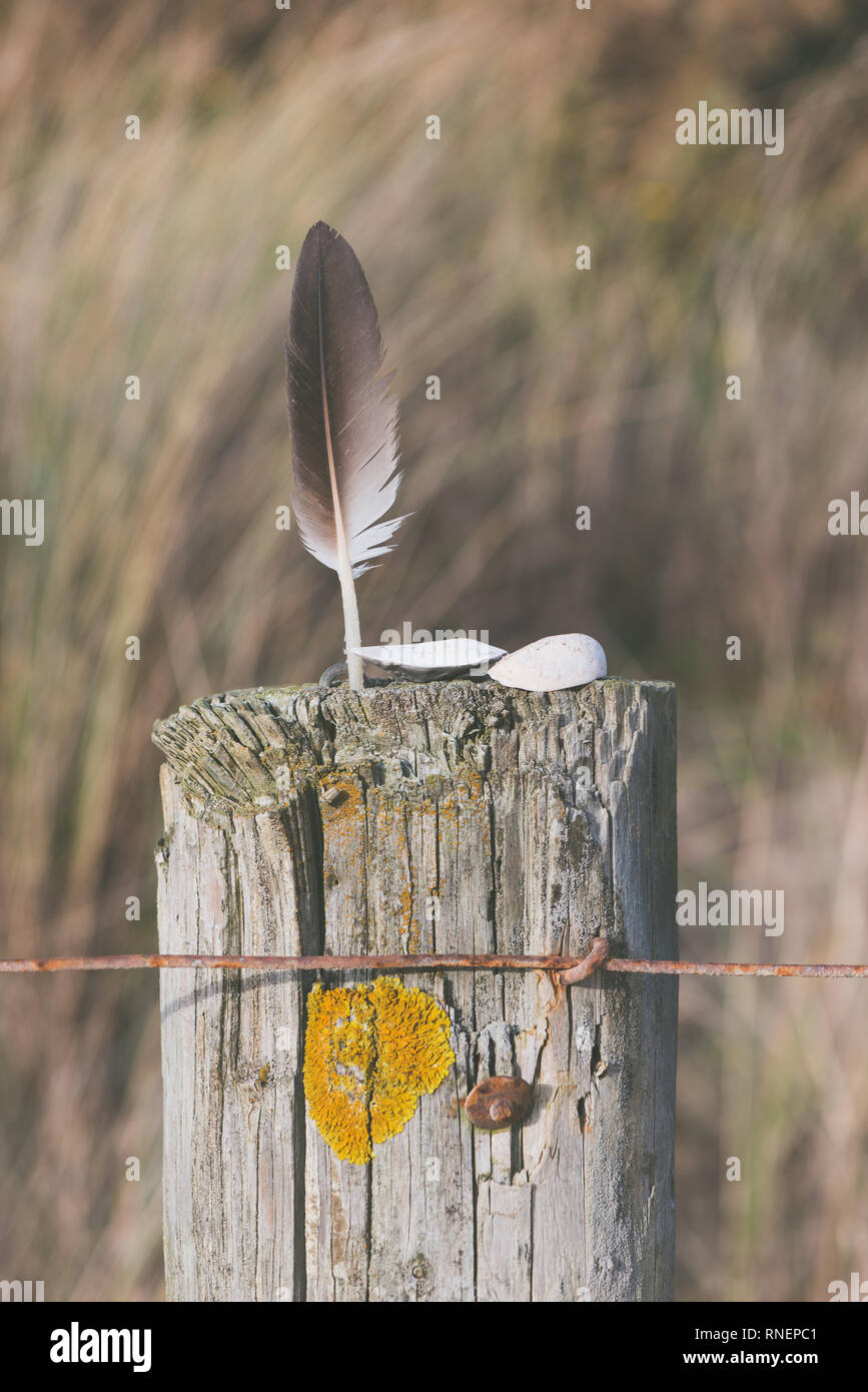 Top weathered fence post hi-res stock photography and images - Alamy