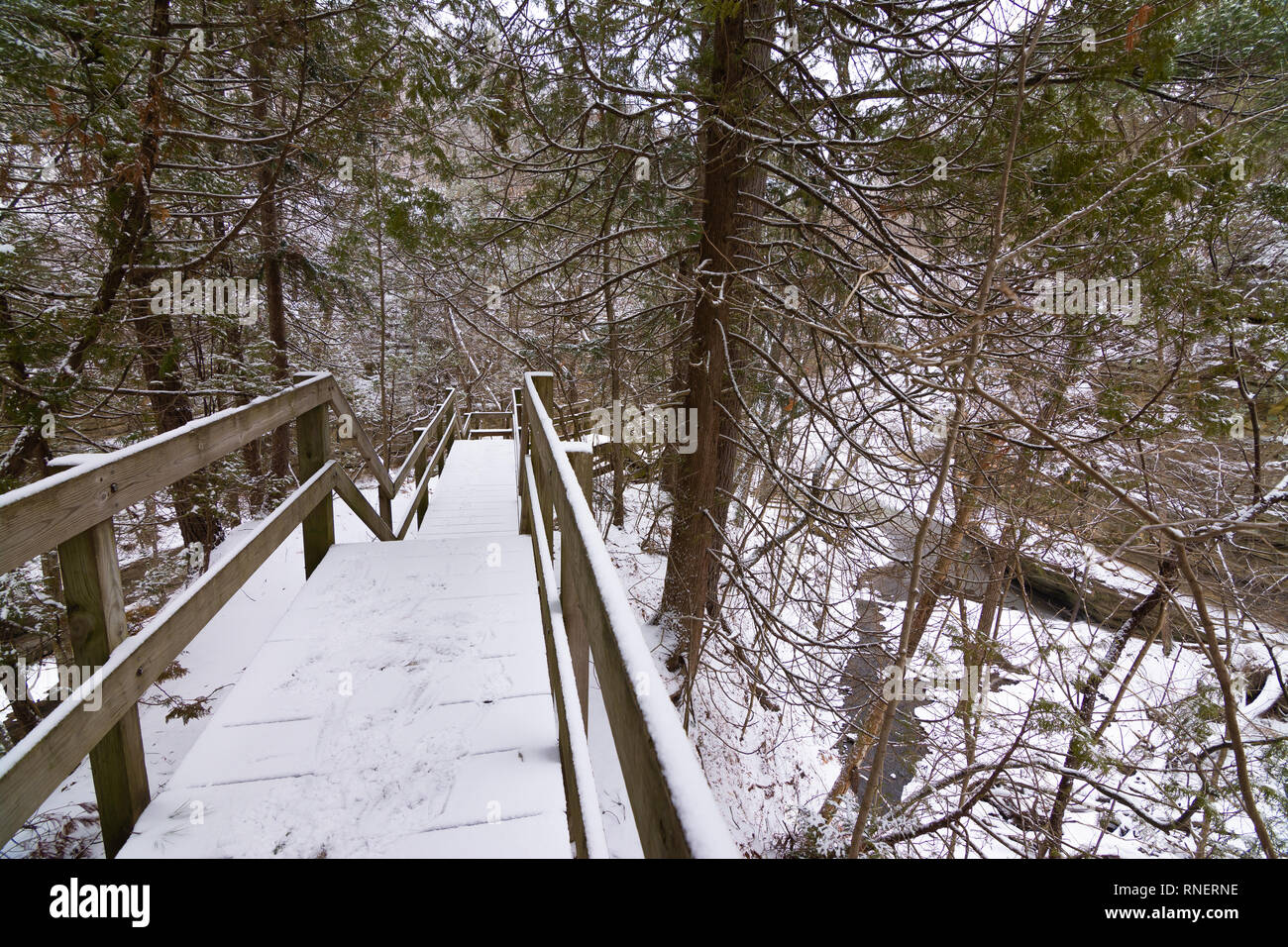 Snow covered trail in the Upper Dells. Matthiessen State Park, Illinois ...