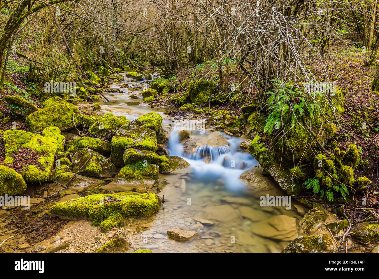 Little stream flowing in idyllic hi-res stock photography and images ...
