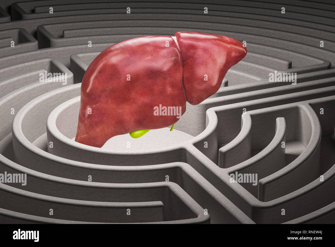 Human liver organ in the labyrinth maze, 3D rendering Stock Photo - Alamy