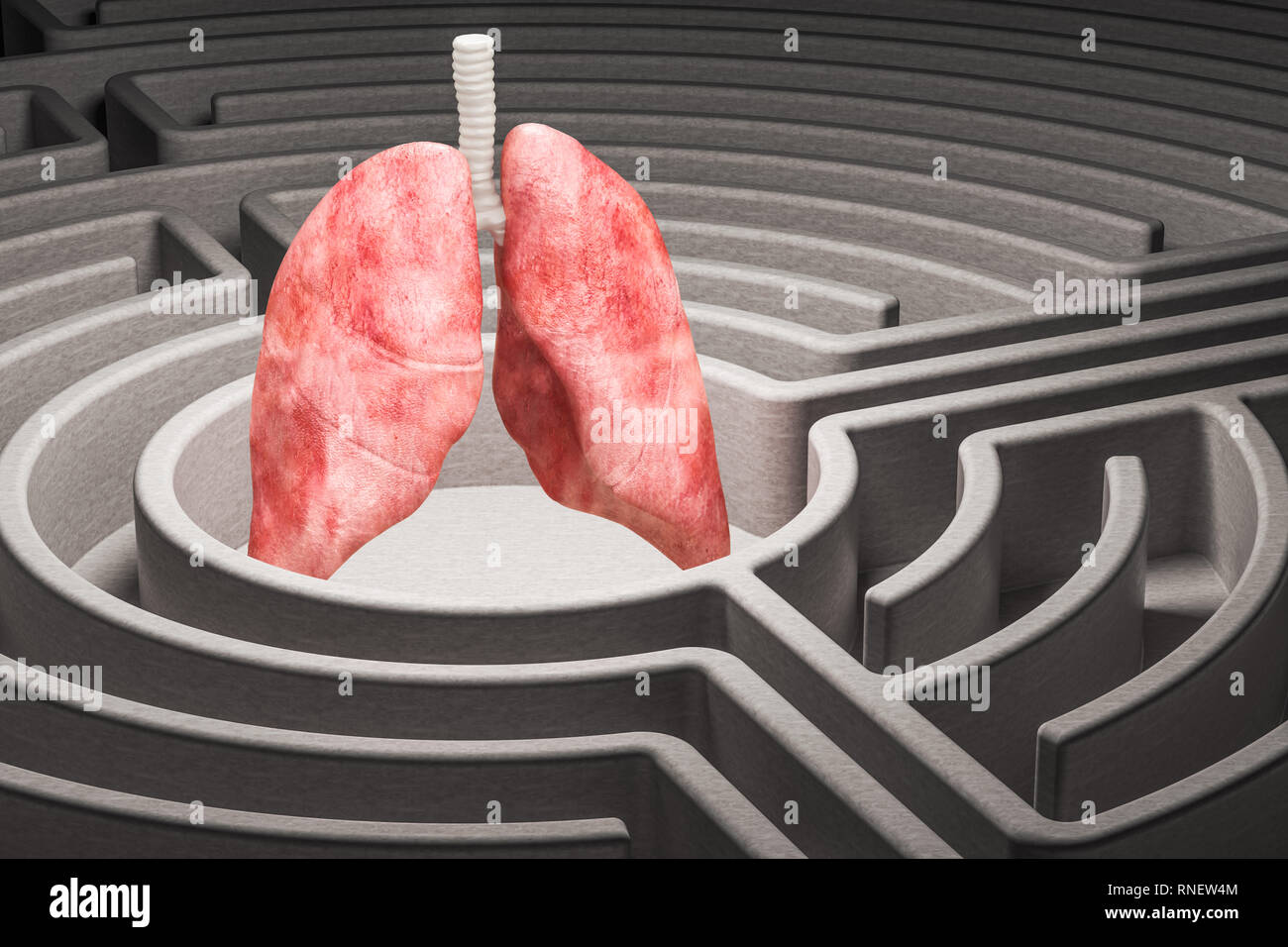 Human lungs organ in the labyrinth maze, 3D rendering Stock Photo - Alamy