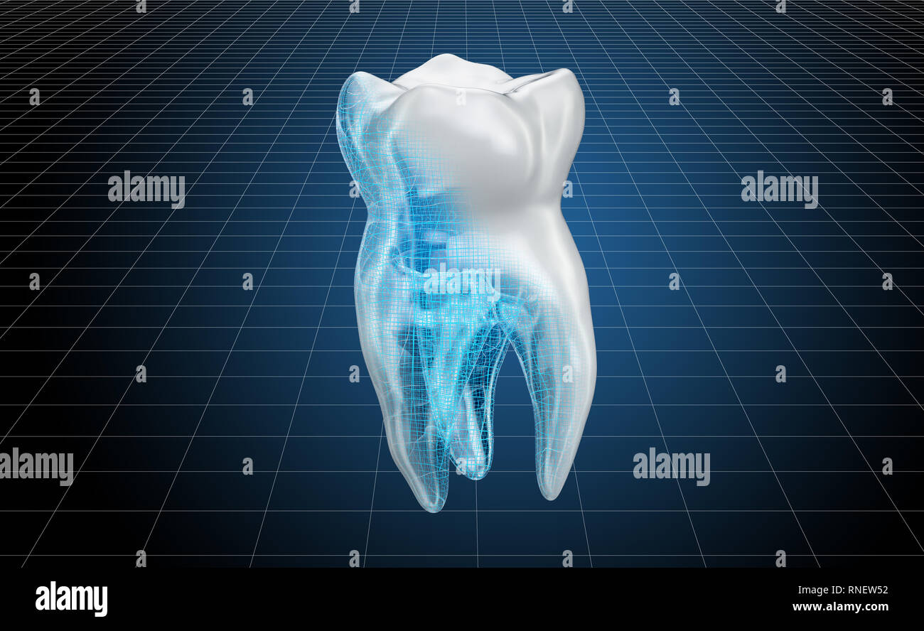 Visualization 3d cad model of human tooth, 3D rendering Stock Photo - Alamy