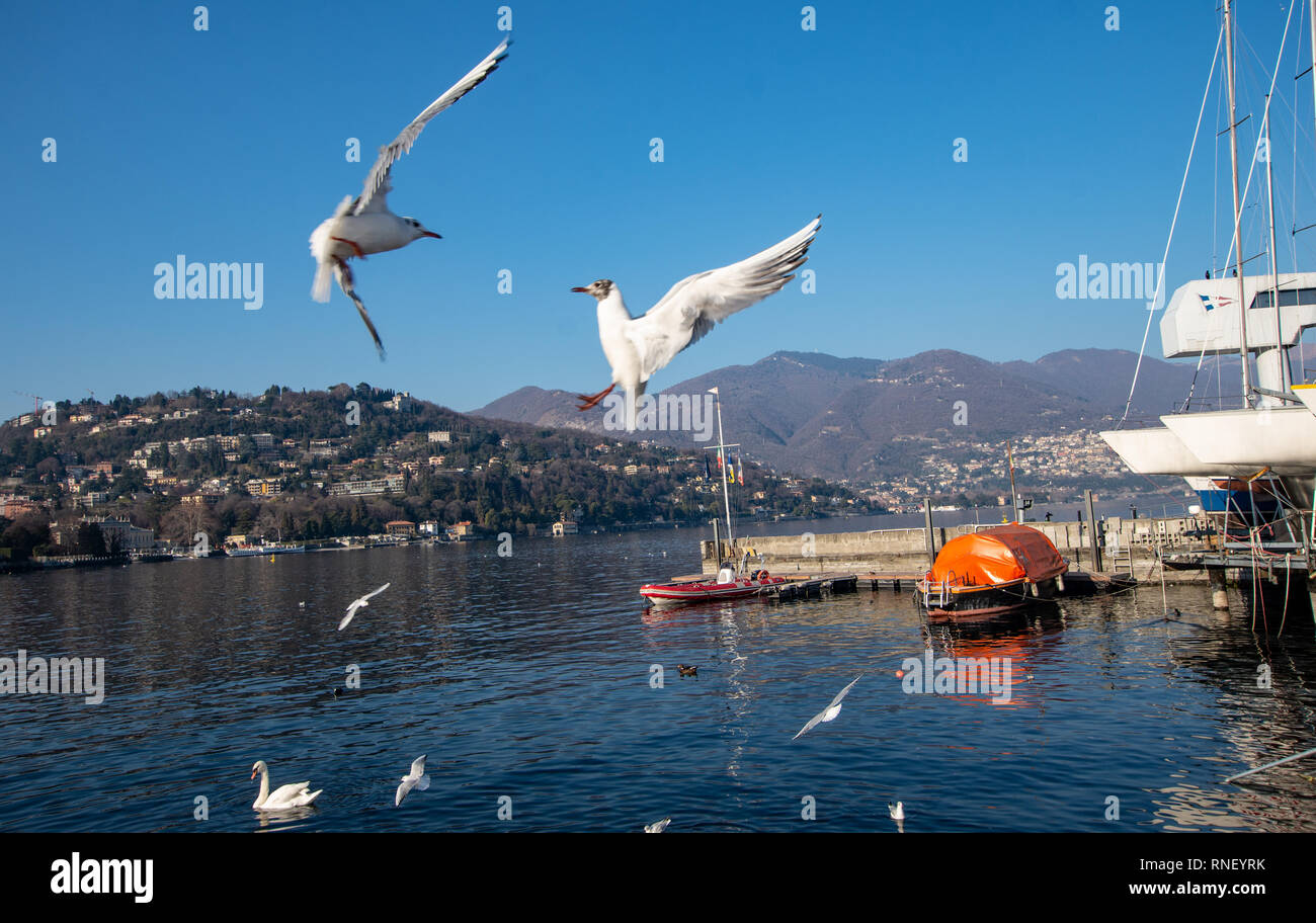Cypress trees in the foreground hi-res stock photography and images - Alamy