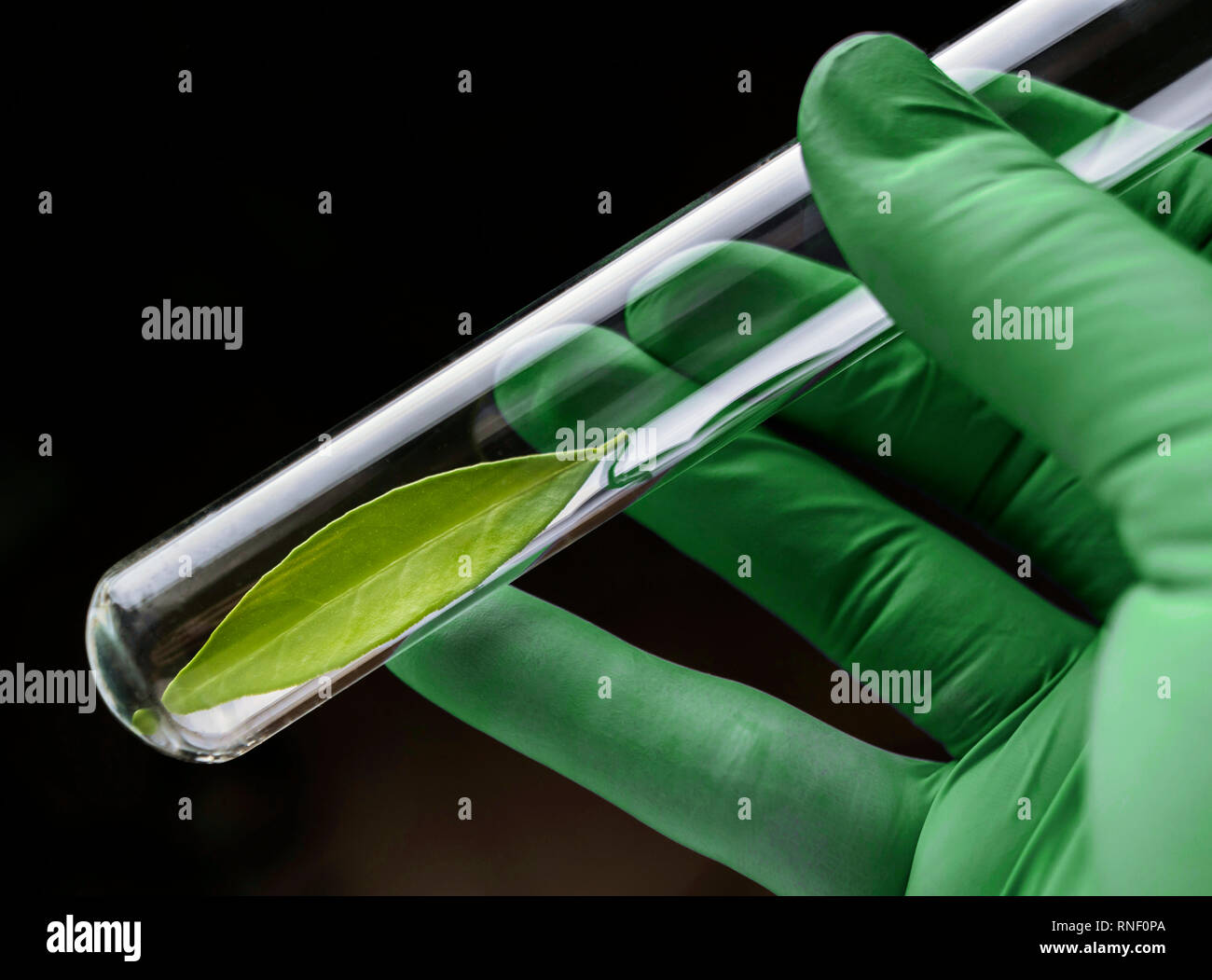 Sequencing genome research hospital hi-res stock photography and images ...