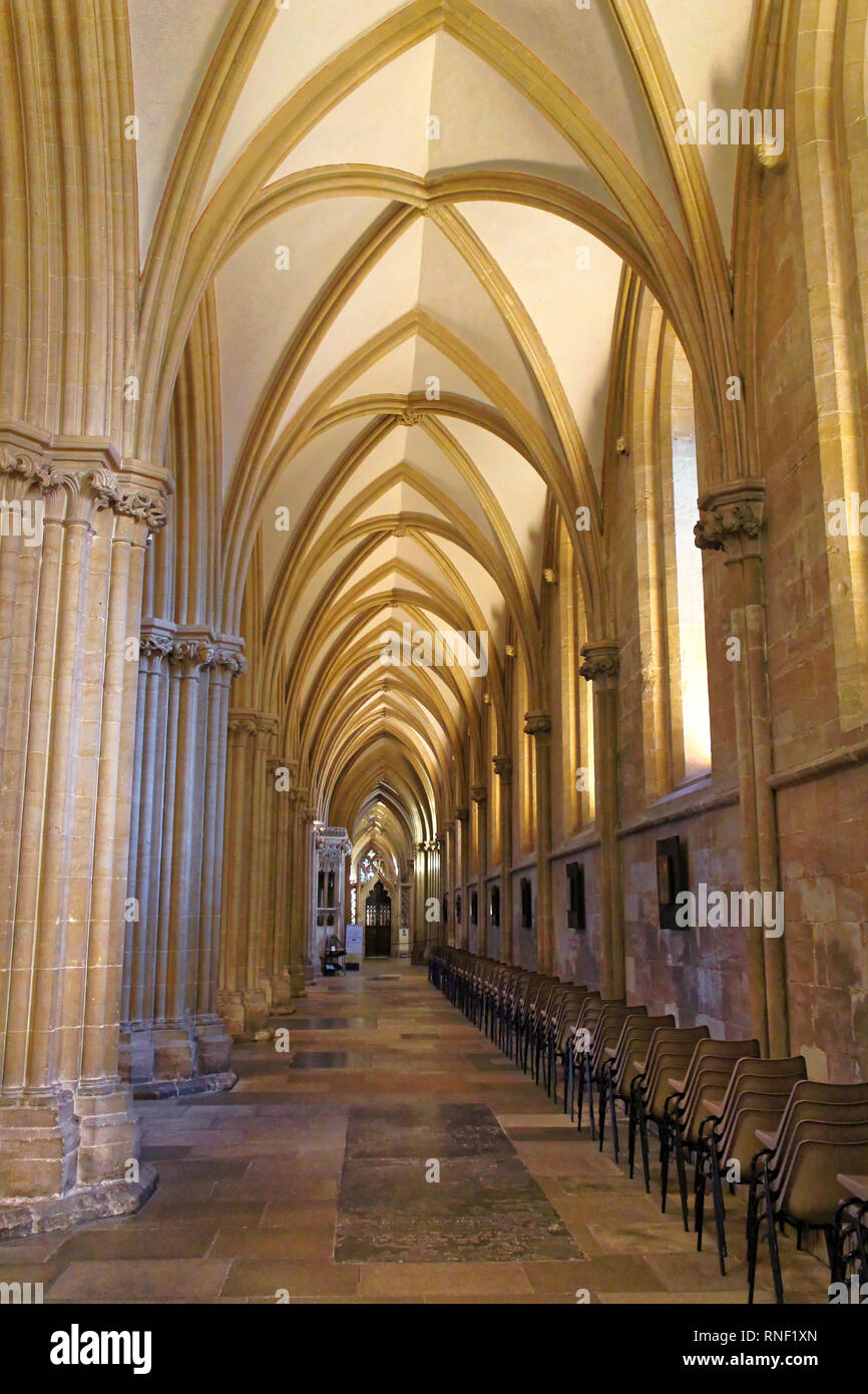 Gothic wells cathedral hi-res stock photography and images - Alamy