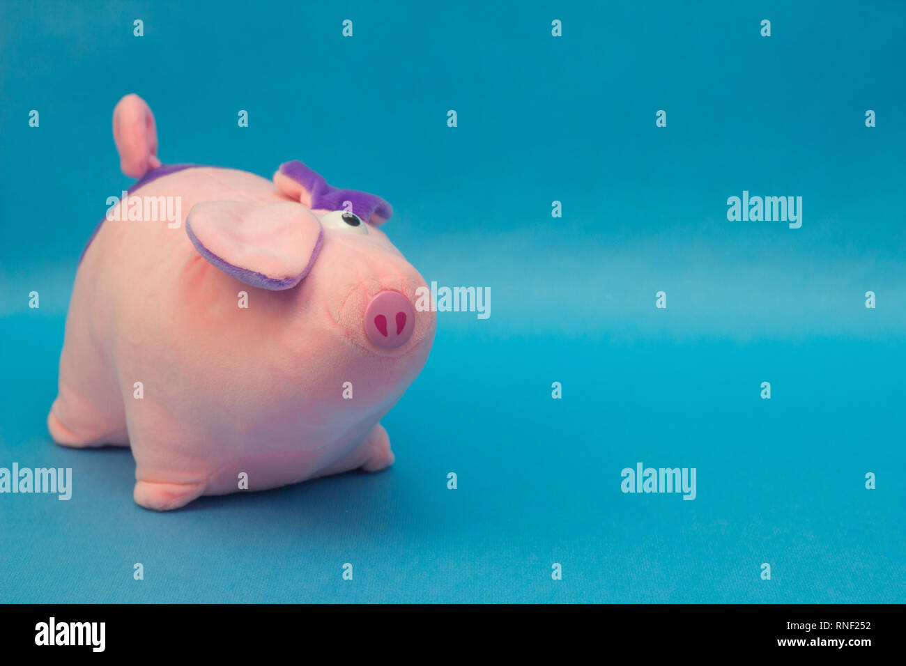 Soft toy pink pig with big ears on a blue background, close-up, the new ...
