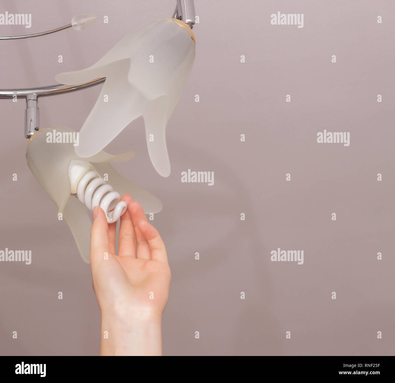 Installing an energy-saving light bulb in the ceiling chandelier, arm ...