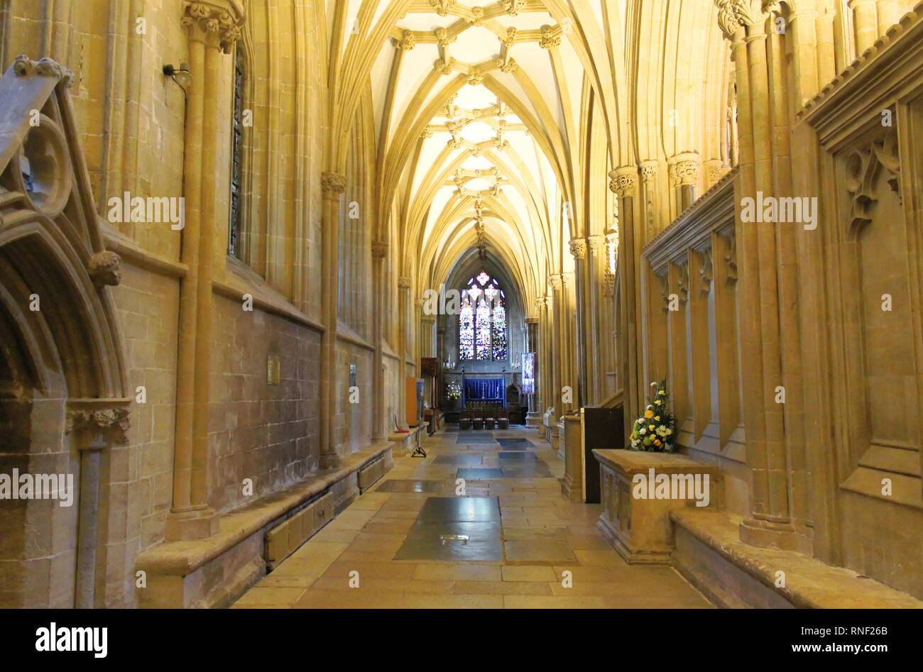Gothic wells cathedral hi-res stock photography and images - Alamy