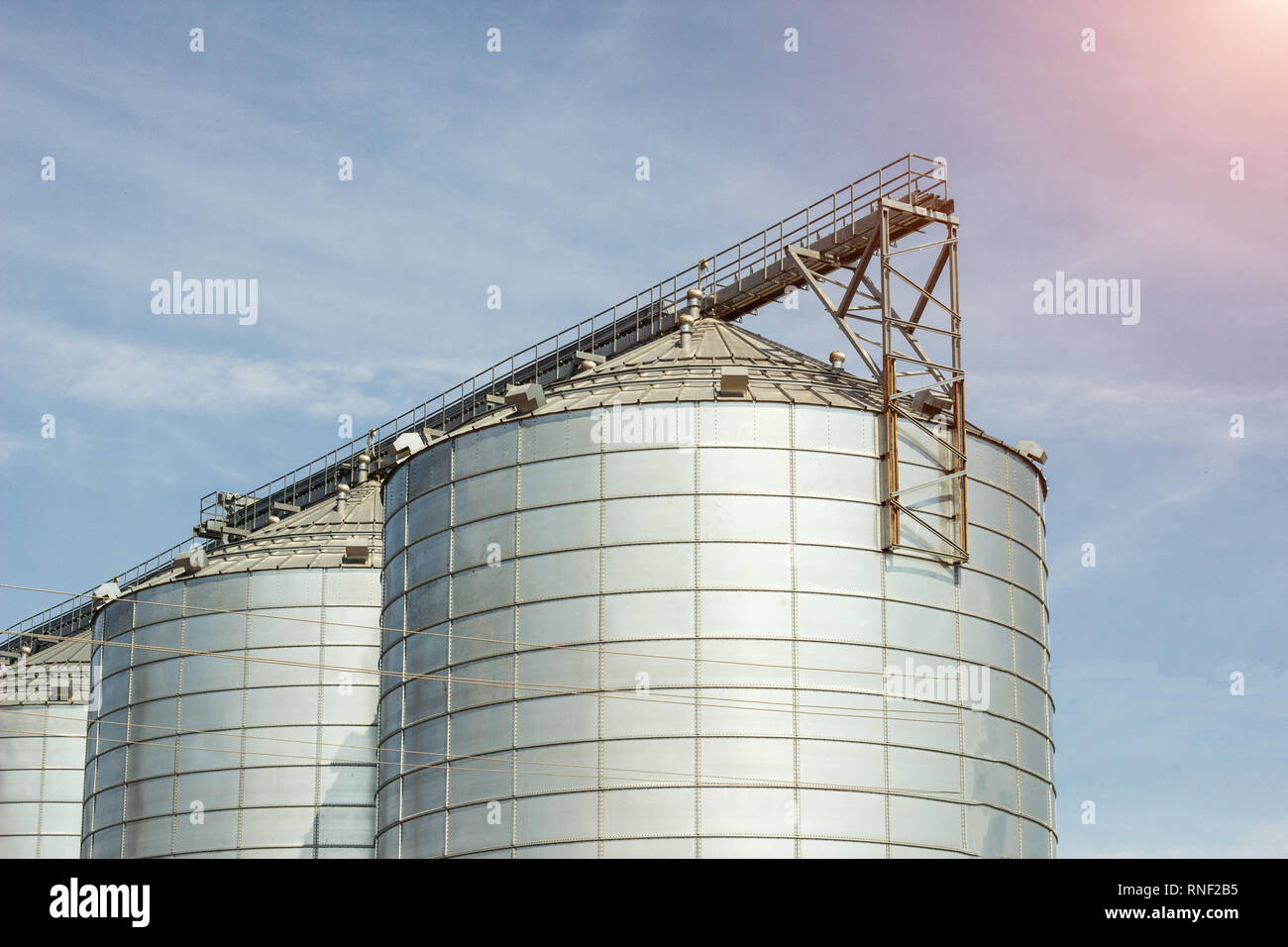 Modern farm complex for storing grain, cereals, corn and oilseed rape ...