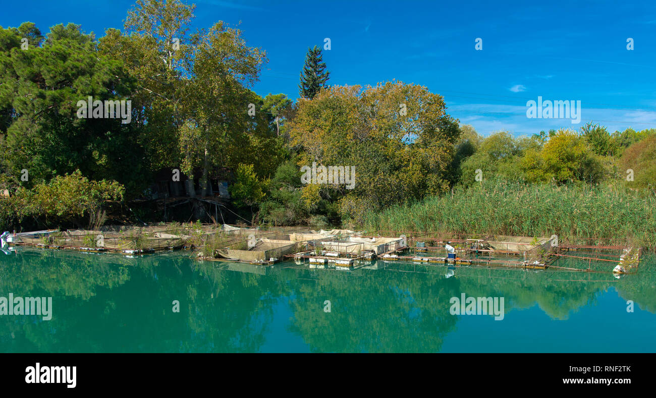 Artificial breeding of fish. Tanks from the net in the open air farm ...