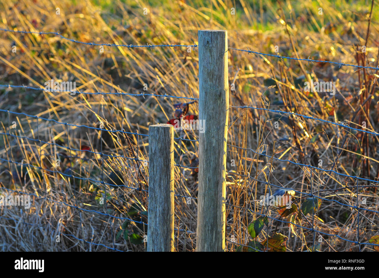 Kent countryside uk winter hi-res stock photography and images - Alamy