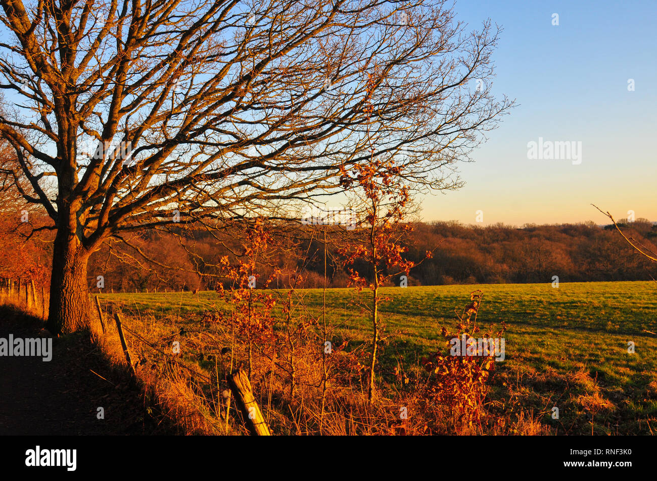 Sunset over the kent countryside in Bidborough, Kent, england, UK Stock ...