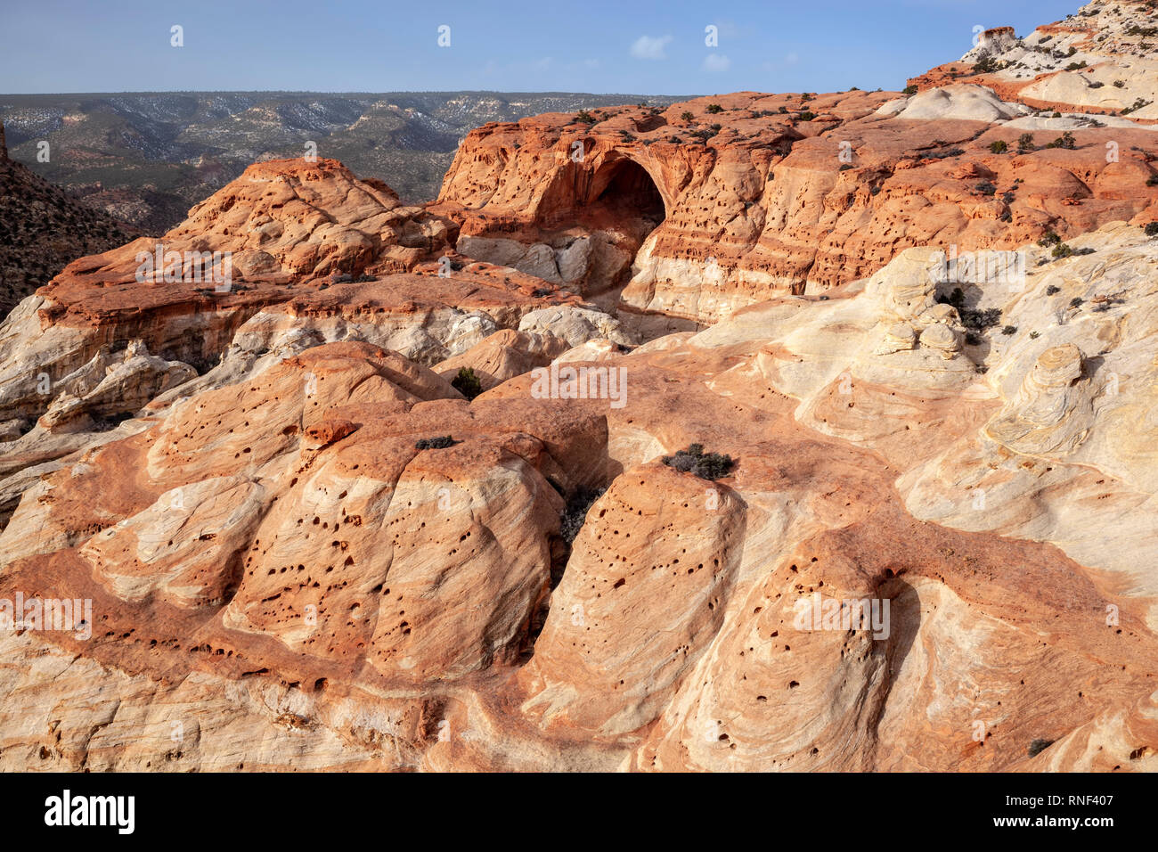 Cassidy Arch, Capitol Reef National Park, Utah USA Stock Photo - Alamy