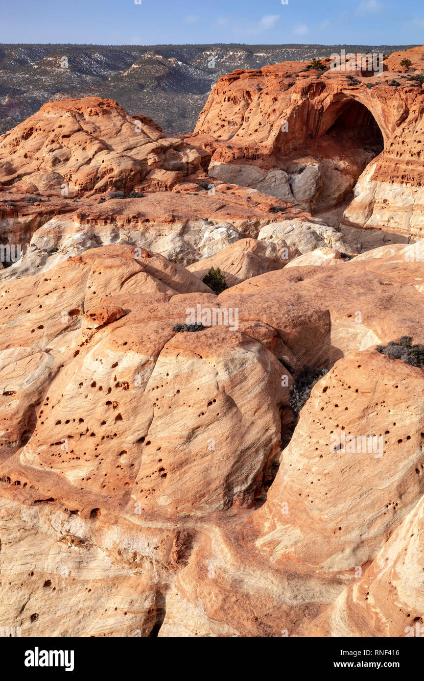 Capitol reef national park arch hi-res stock photography and images - Alamy