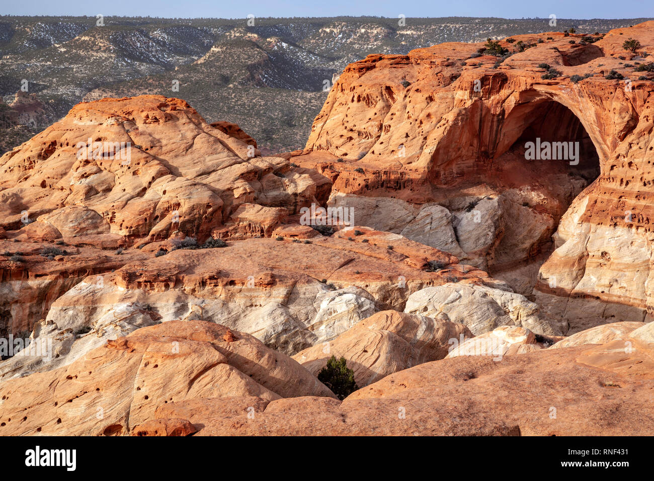 Cassidy Arch, Capitol Reef National Park, Utah USA Stock Photo - Alamy