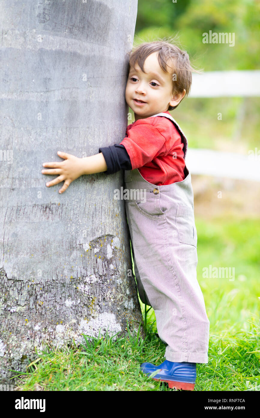 Little happy boy hugging a tree, enjoying the tree Stock Photo - Alamy