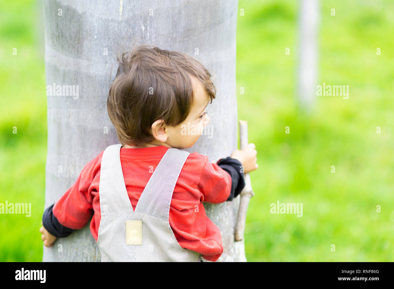 Little happy boy hugging a tree, enjoying the tree Stock Photo - Alamy