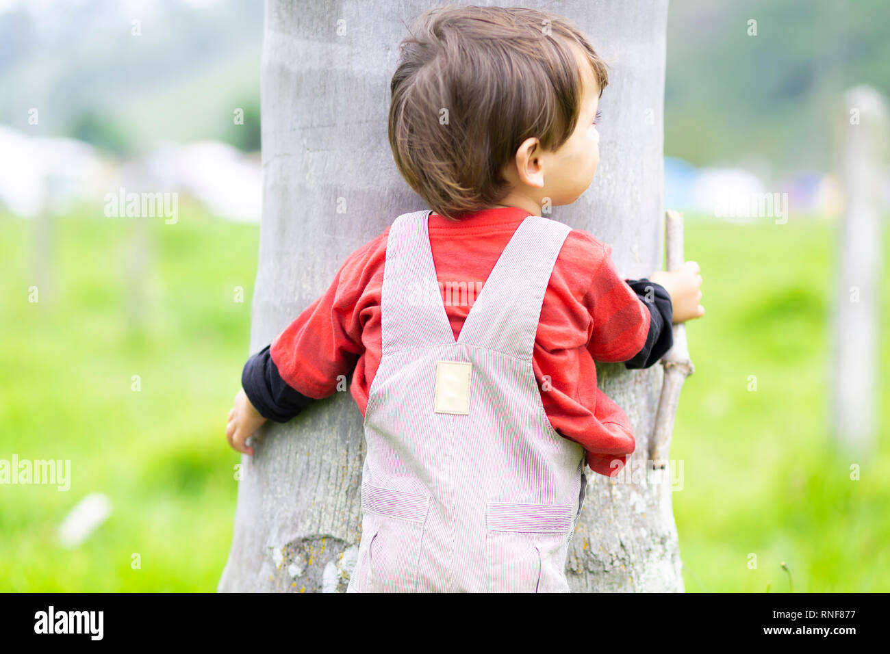 Little happy boy hugging a tree, enjoying the tree Stock Photo - Alamy
