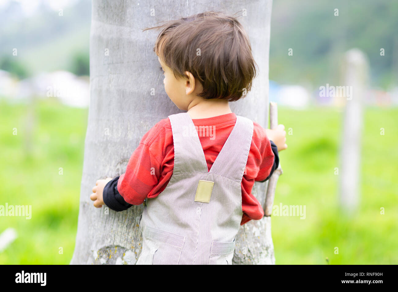 Little happy boy hugging a tree, enjoying the tree Stock Photo - Alamy
