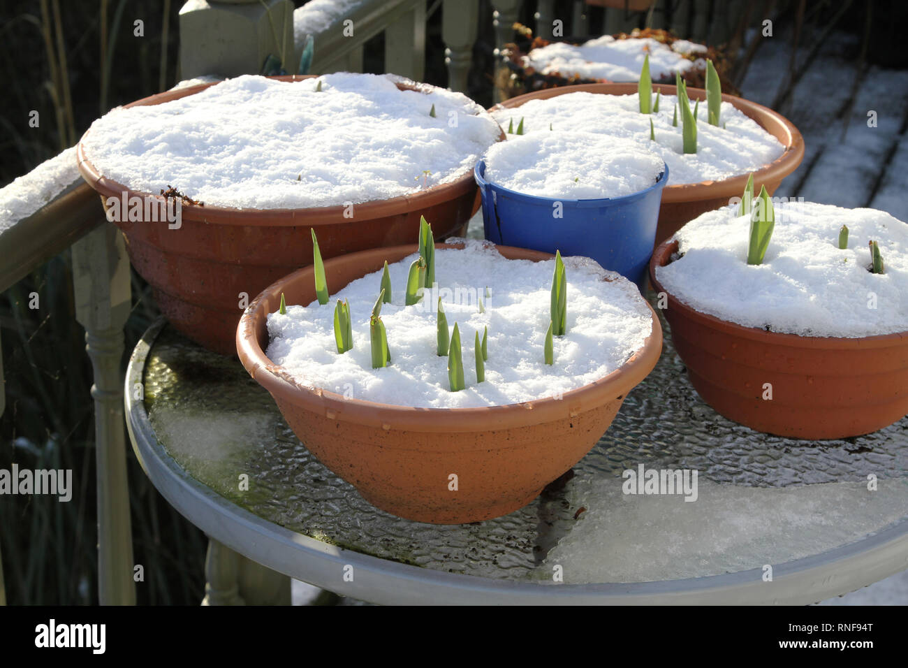 Breaking the pots hi-res stock photography and images - Alamy