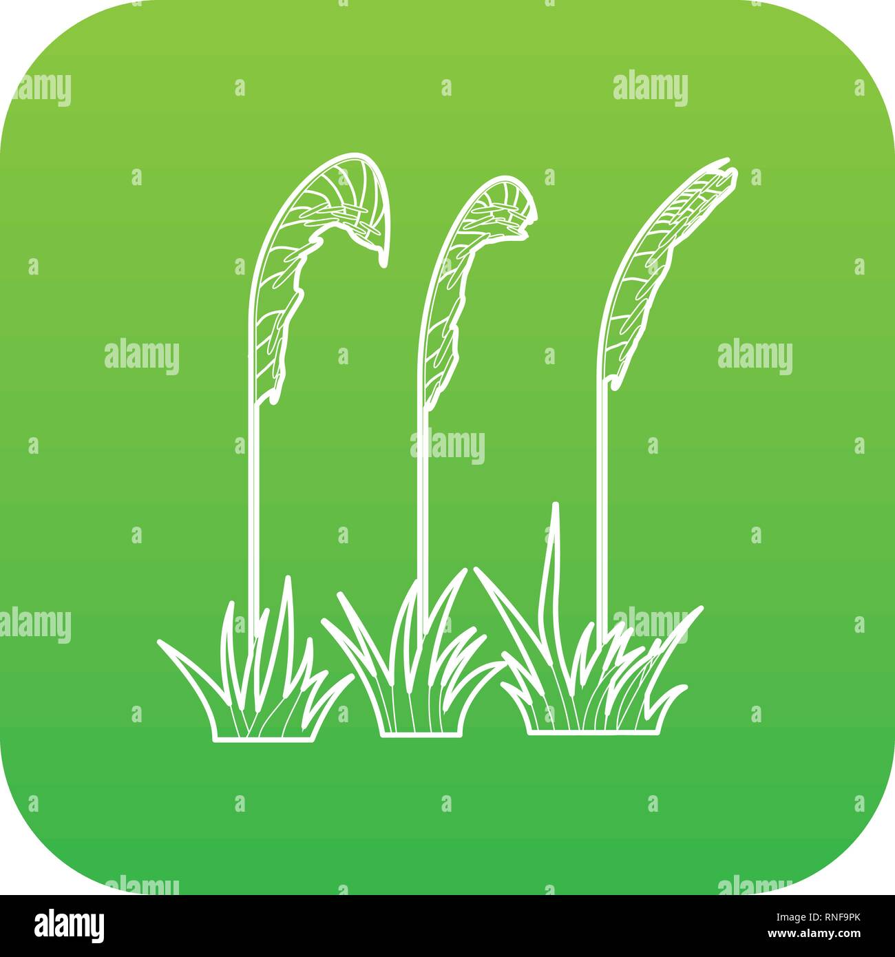 Three plants icon green vector Stock Vector Image & Art - Alamy