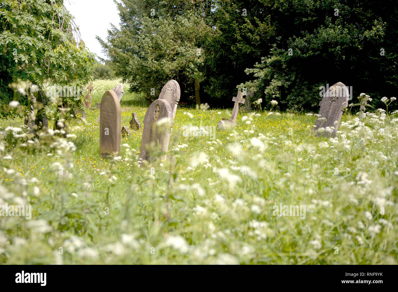 The overgrown graveyard used by the former Three Counties Asylum, later ...