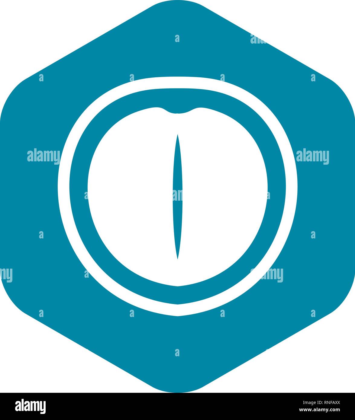 Macadamia nut icon, simple style Stock Vector Image & Art - Alamy