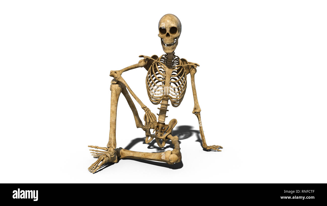 Seated skeletal hi-res stock photography and images - Alamy