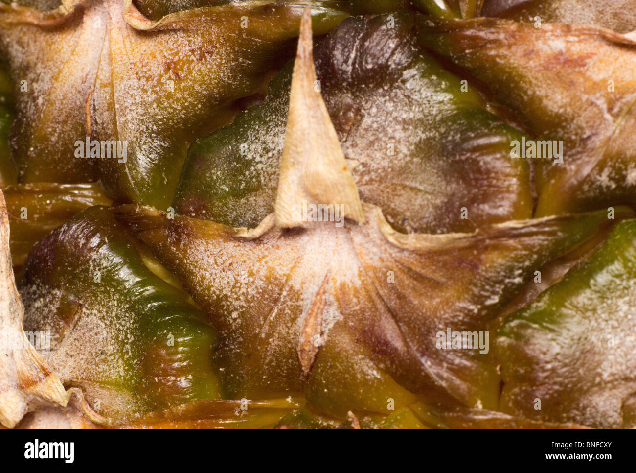 Fresh pineapple texture, macro background ananas Stock Photo - Alamy