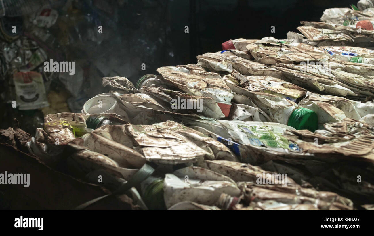 flies fly over household waste, environmental pollution Stock Photo - Alamy