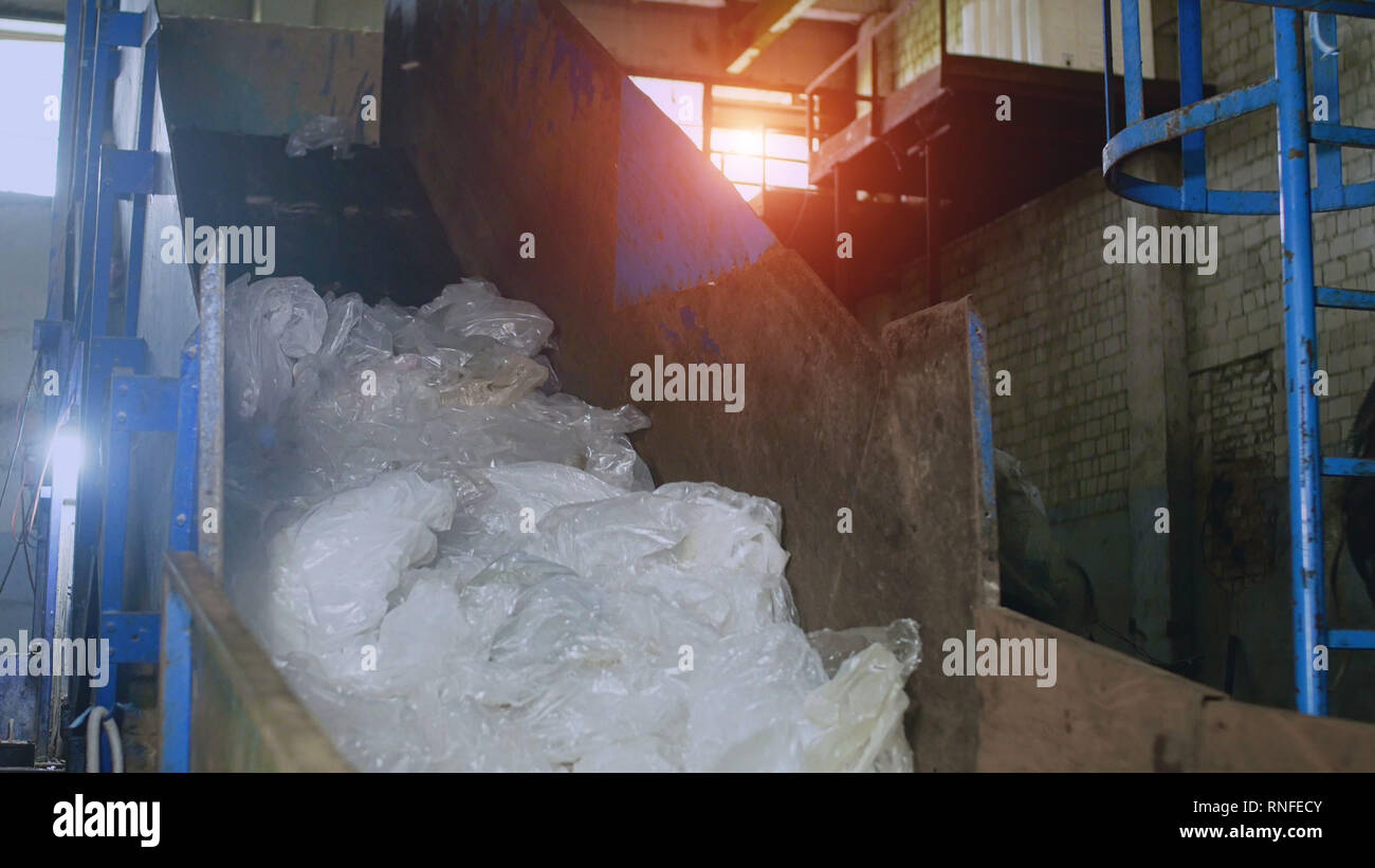 Recycling plant, sorting and processing of cellophane and polypropylene ...