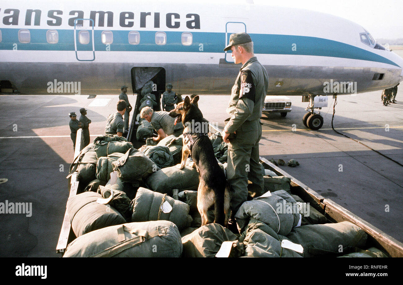 Narctotics detection dog hi-res stock photography and images - Alamy