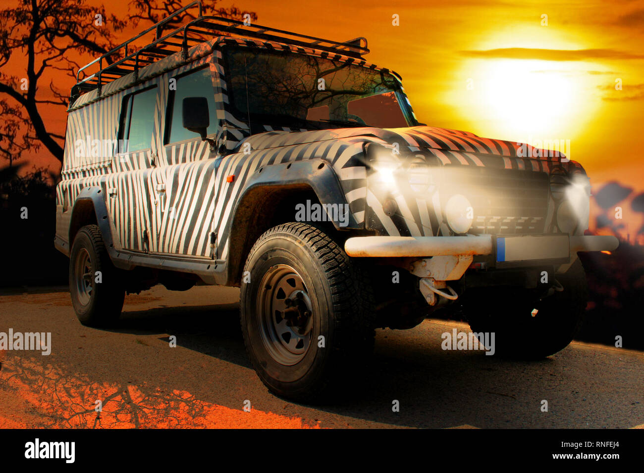 Safari jeep with a zebra pattern drives through a dry hot savana of the ...