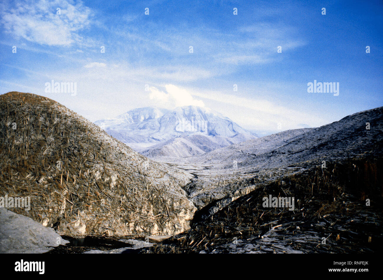 Aerial view of the slopes several days after a large eruption. Volcanic ...