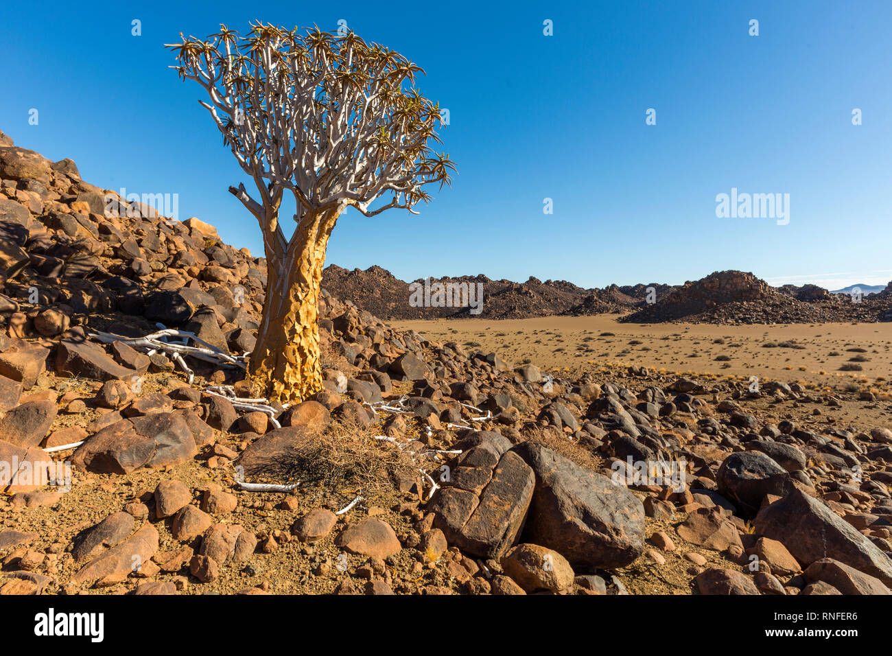 Koppies hi-res stock photography and images - Alamy