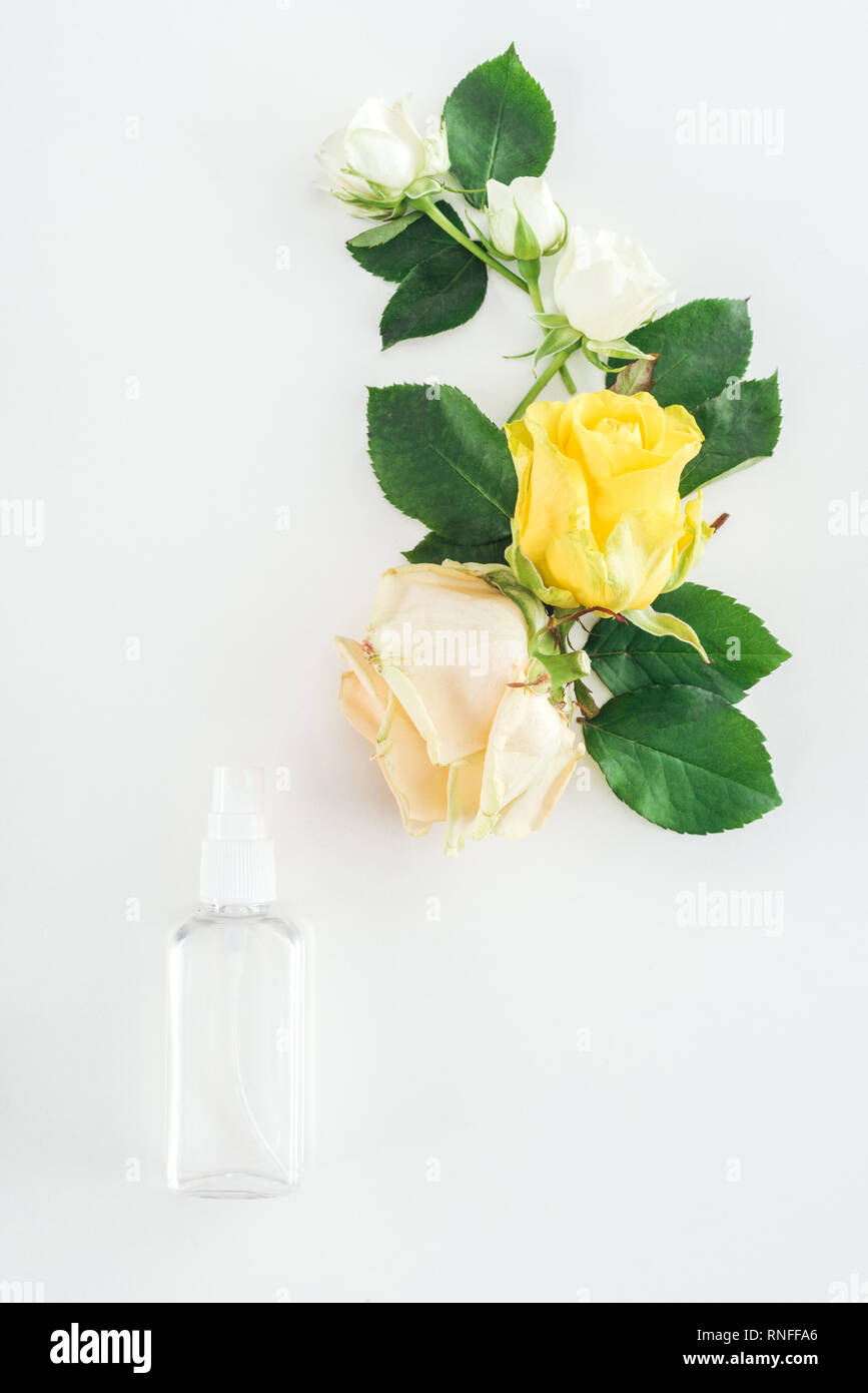 top view of composition with roses and empty spray bottle on white ...