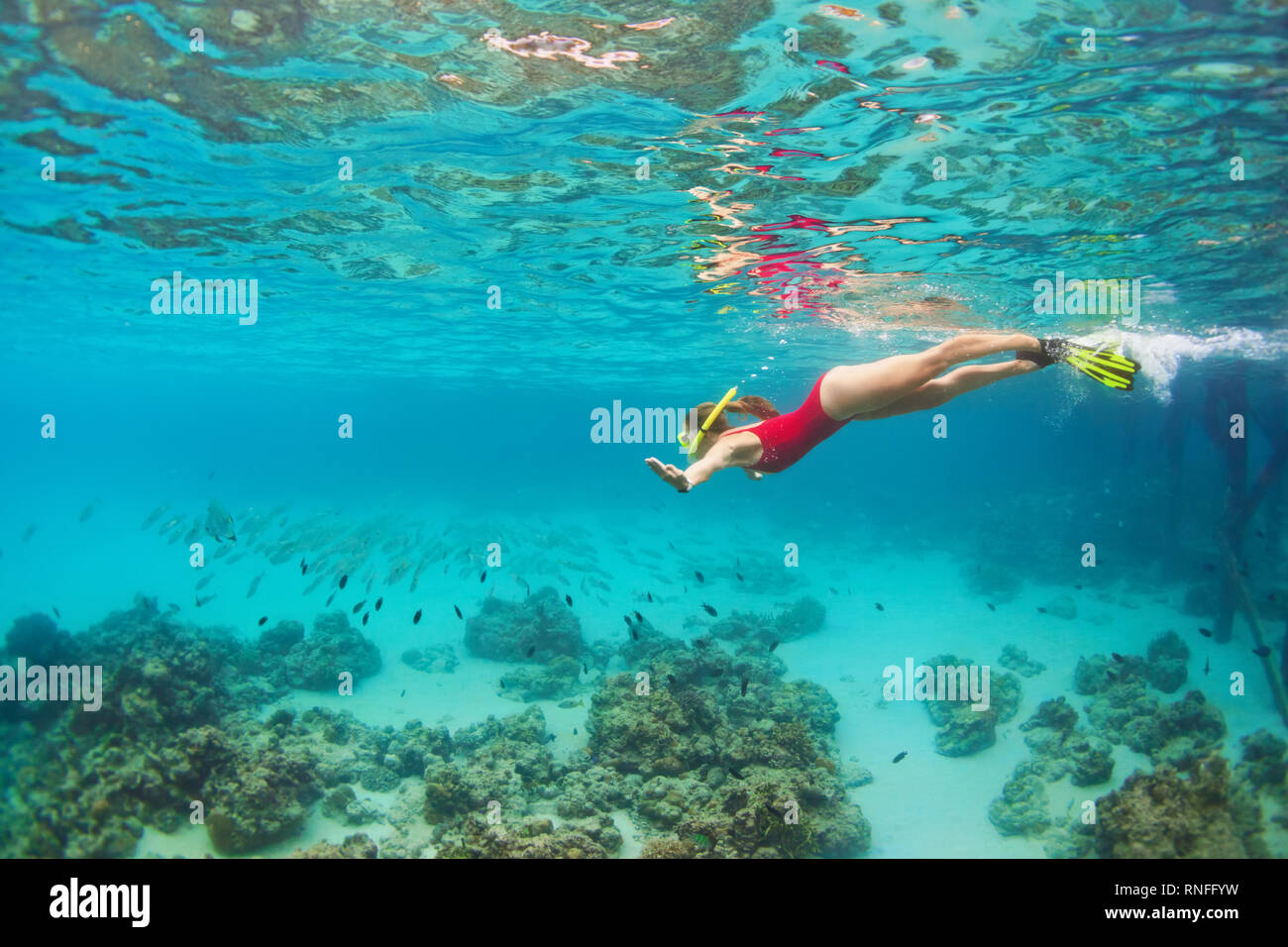 Group dive jump into pool hi-res stock photography and images - Alamy