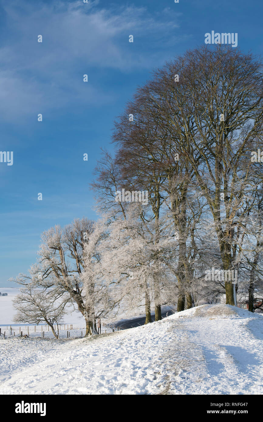 Stone ditch hi-res stock photography and images - Alamy