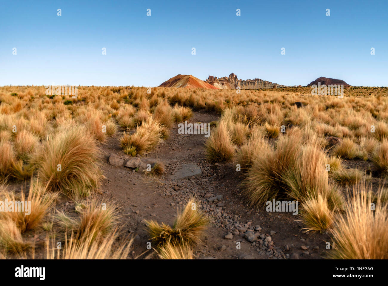 mountain trail leading toward Tunupa volcano in Bolivia Stock Photo - Alamy