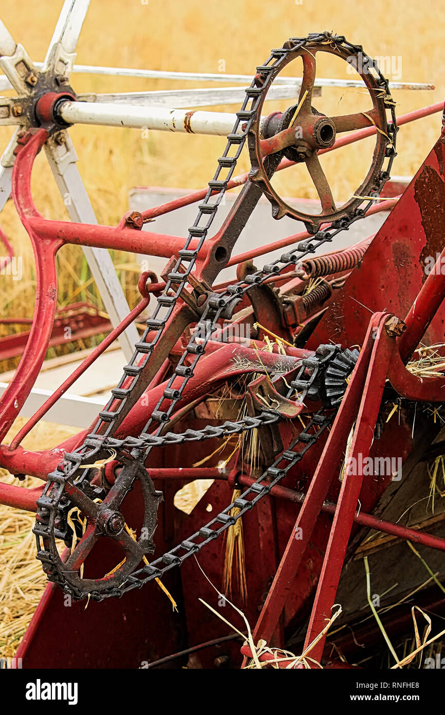 Grain wheel hi-res stock photography and images - Alamy