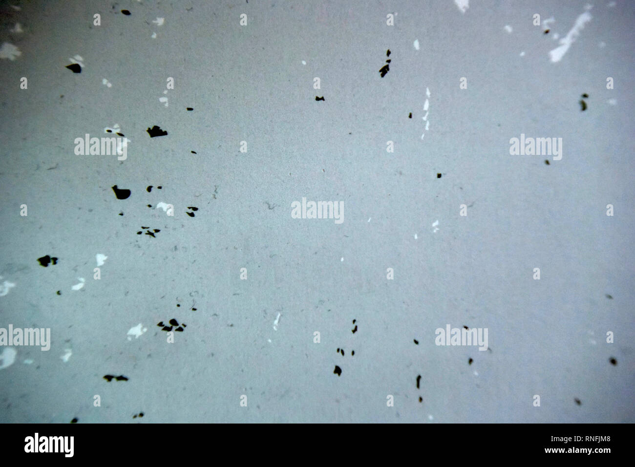 Construction paper texture hi-res stock photography and images - Alamy