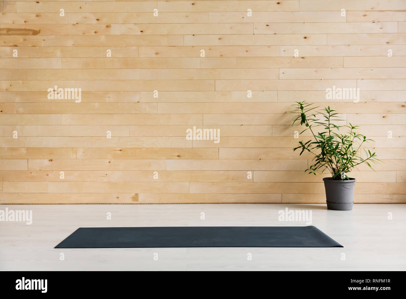 Empty yoga mat on the floor. Equipment for yoga. Concept healthy ...
